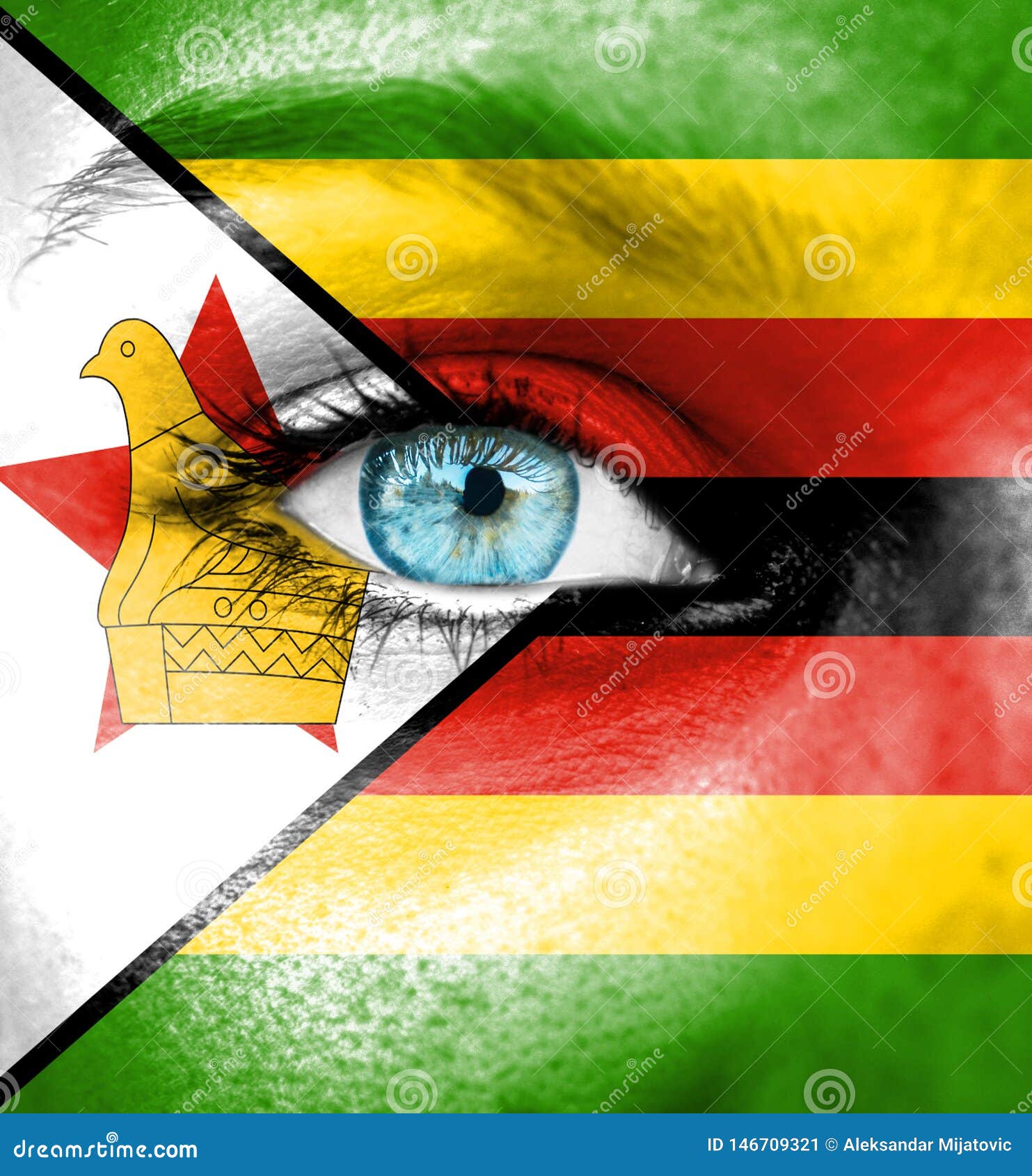 Woman Face Painted with Flag of Zimbabwe Stock Image - Image of happy ...