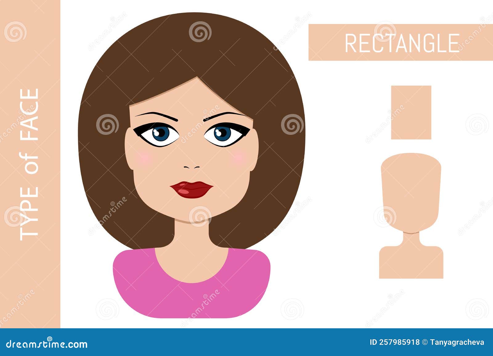 Woman Face Type Rectangle Vector Illustration Front Portrait Stock ...