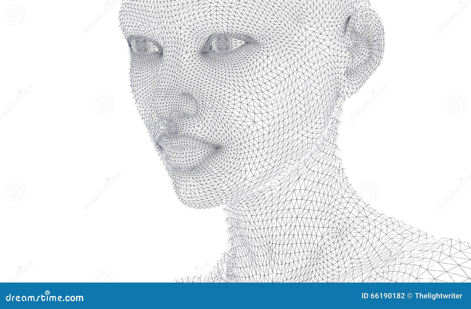 Woman Face in Wireframe Lines Isolated on White. Stock Illustration ...