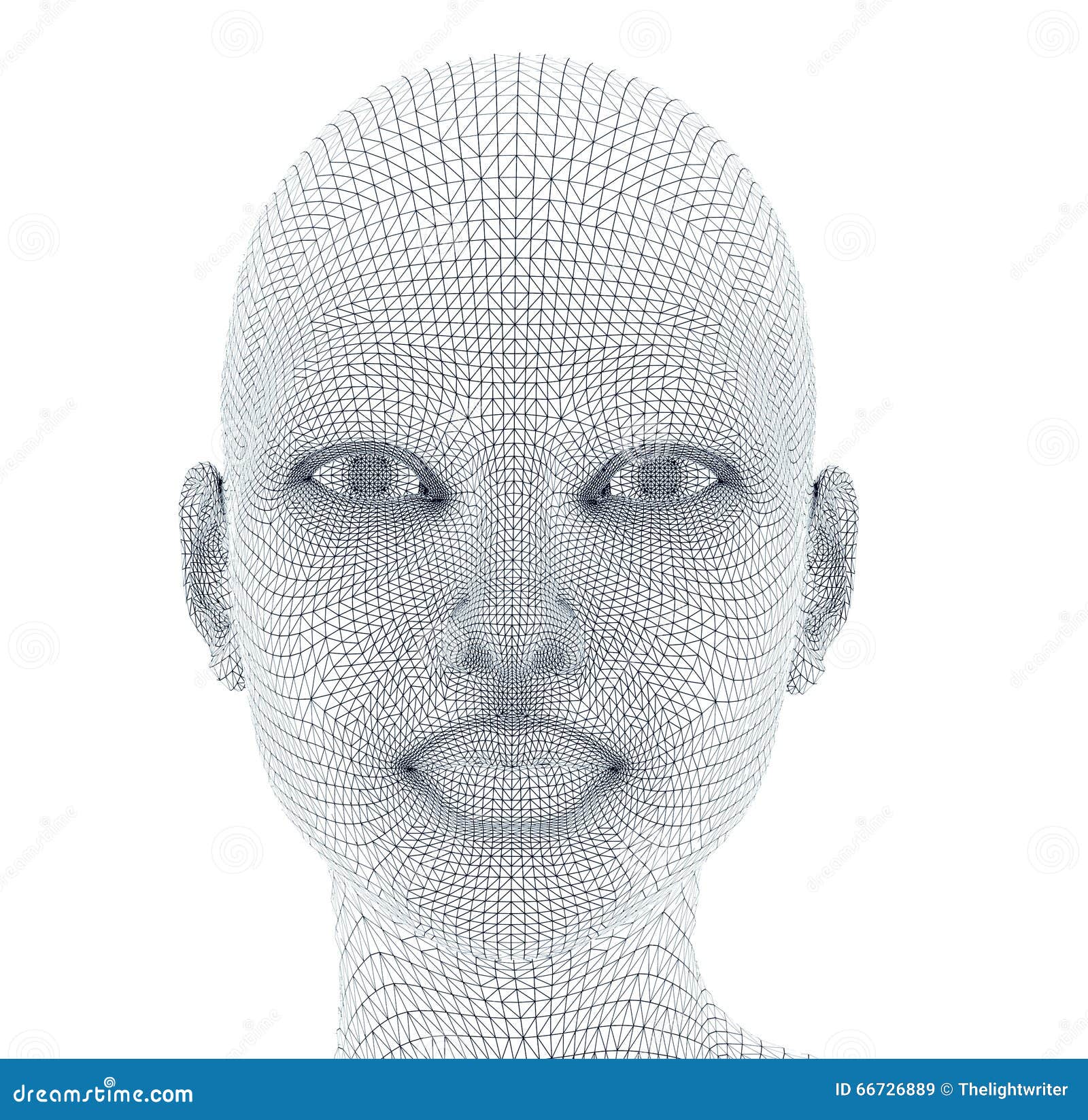 Woman Face in Wireframe Lines Isolated on White. Stock Image - Image of ...