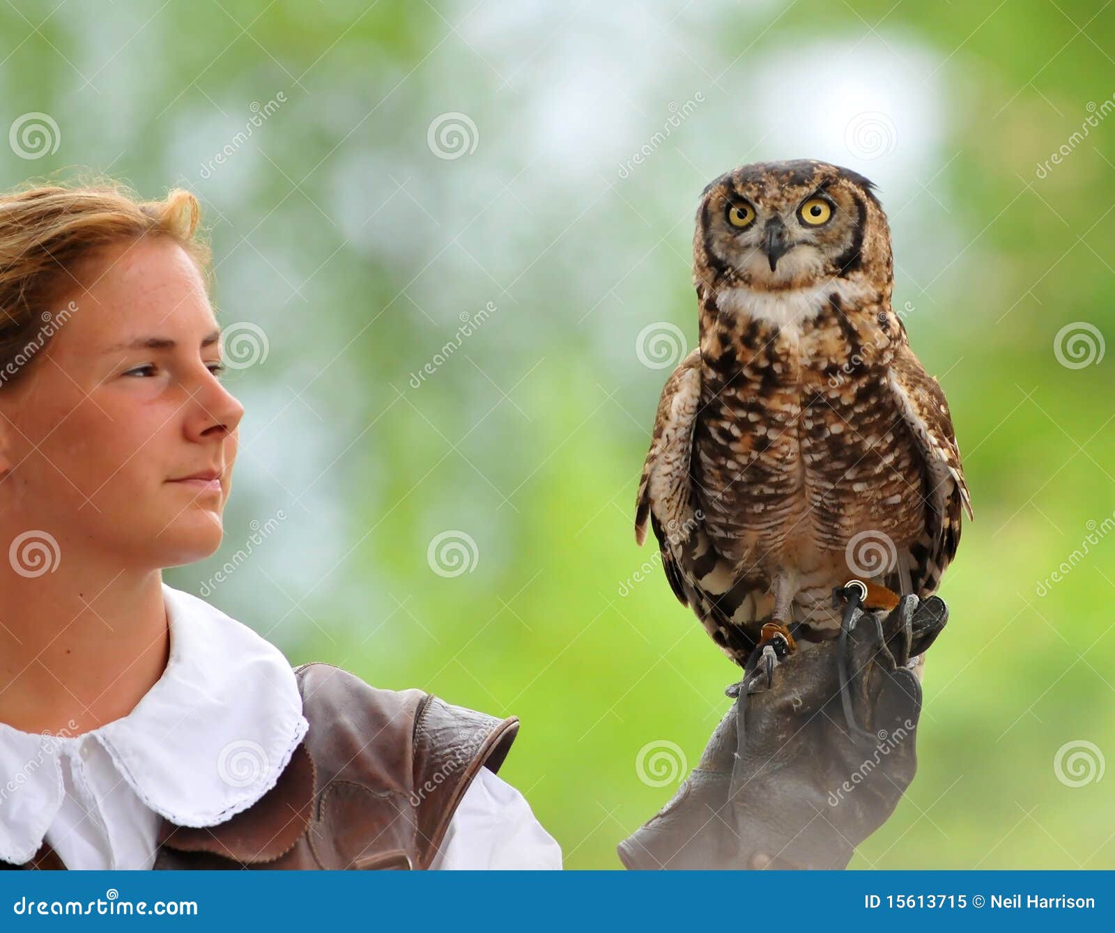 Woman falconer editorial image. Image of coordination - 15613715