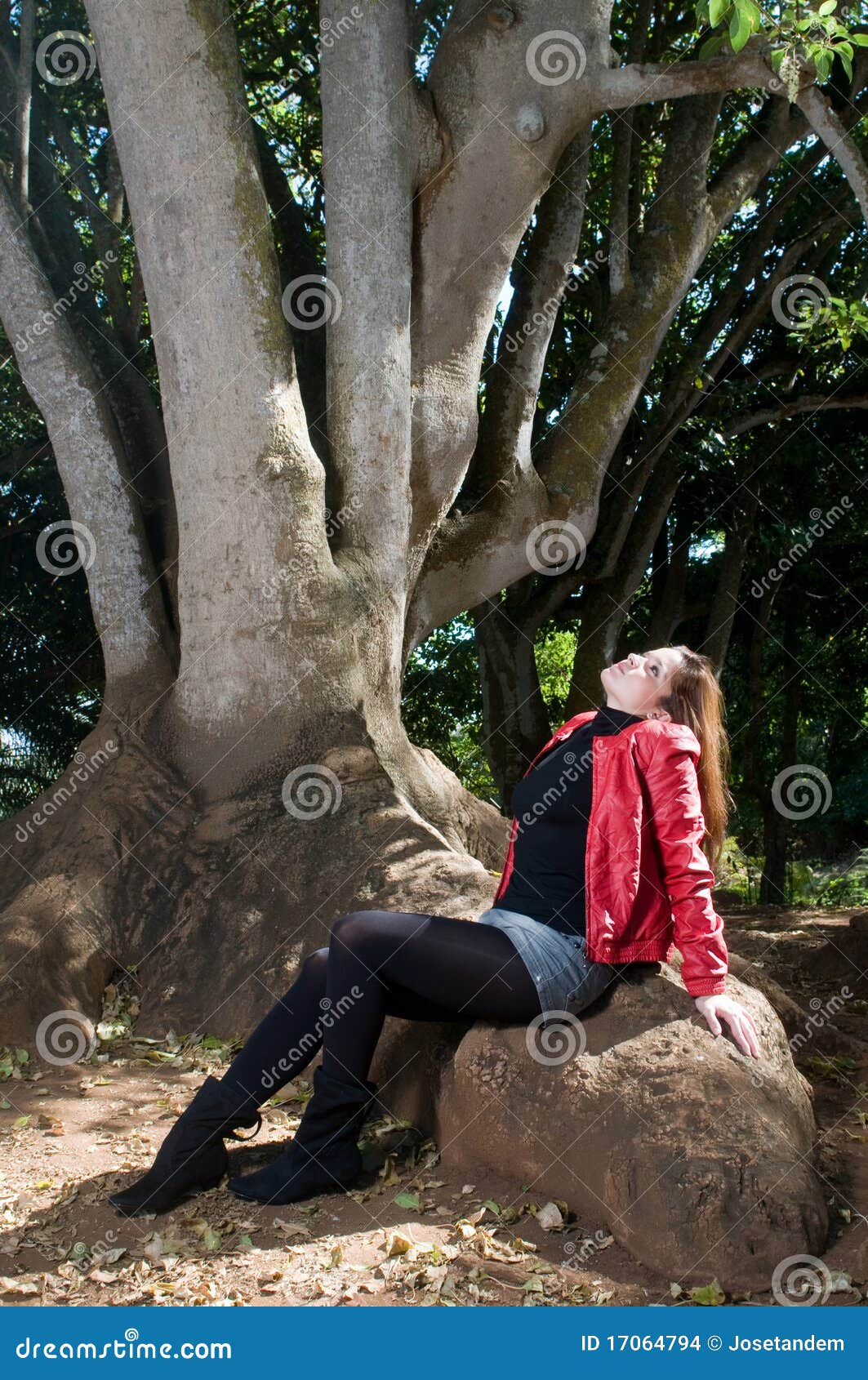 Woman in fall under a tree stock photo. Image of healthy - 17064794