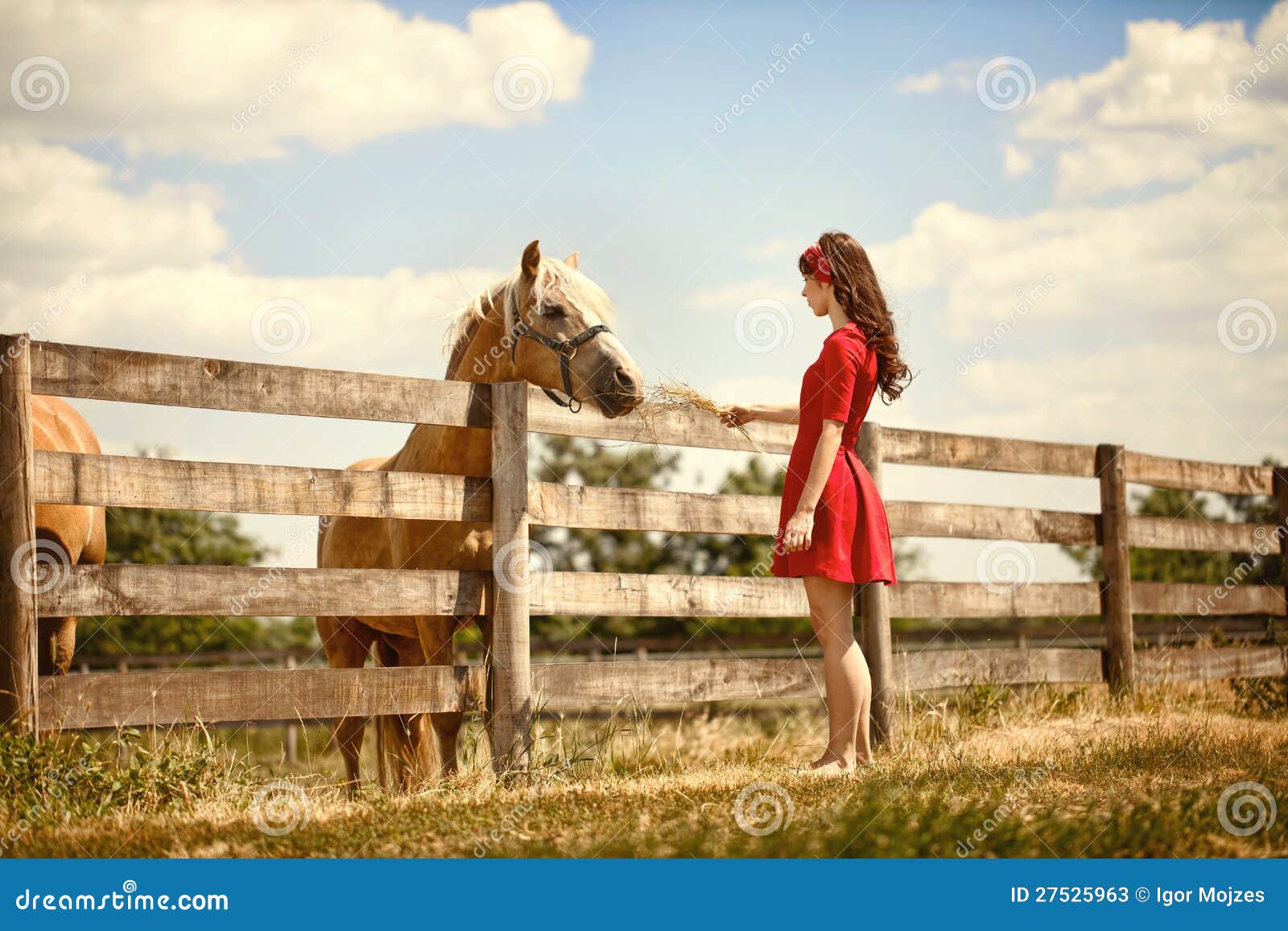Woman on the Farm with Her Horse Stock Image - Image of happy, horse ...