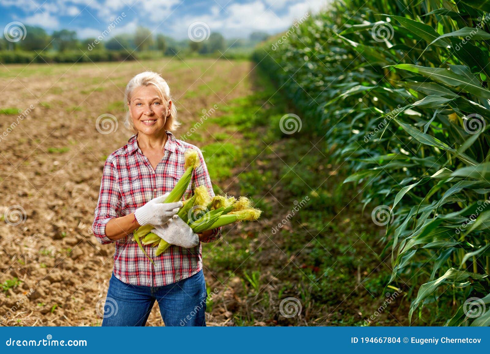 Woman Farmer with a Crop of Corn Stock Photo - Image of agriculture ...