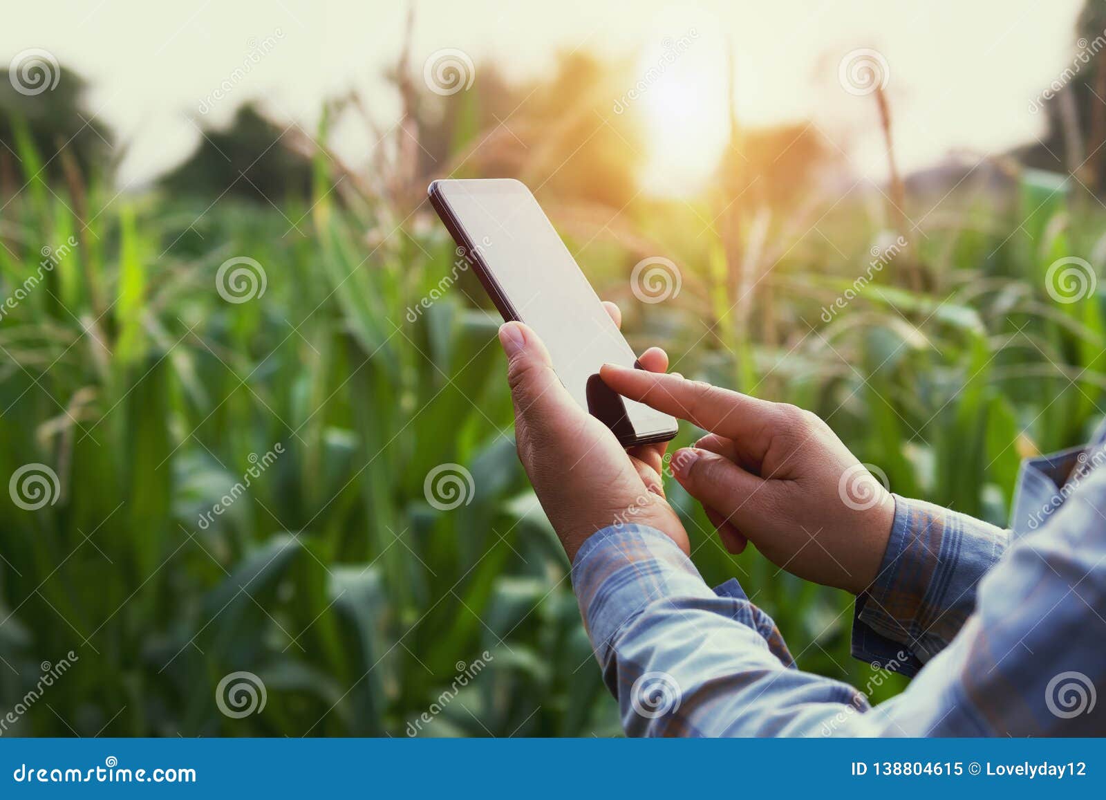 Woman Farmer Using Technology Mobile Stock Image - Image of farming ...