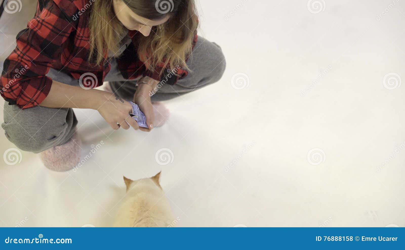 Woman Feeds a Cat with Complementary Pet Food Stock Footage - Video of ...