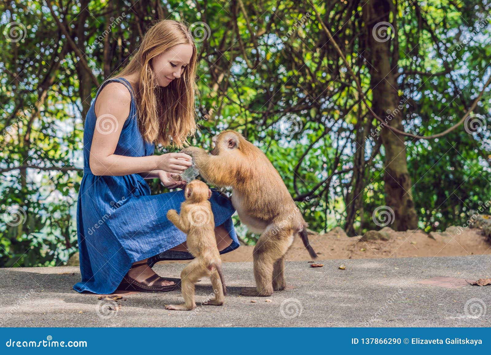 Woman Feeds the Monkey Whith Nuts Stock Photo - Image of culture ...