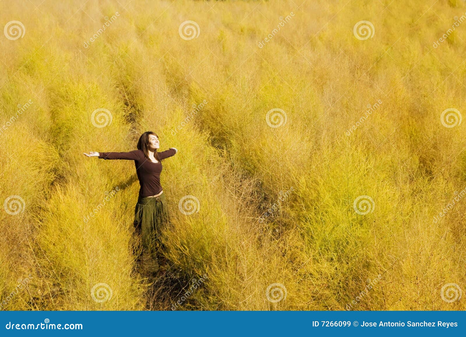 Woman Feeling Freedom in a Field. Stock Image - Image of freedom ...