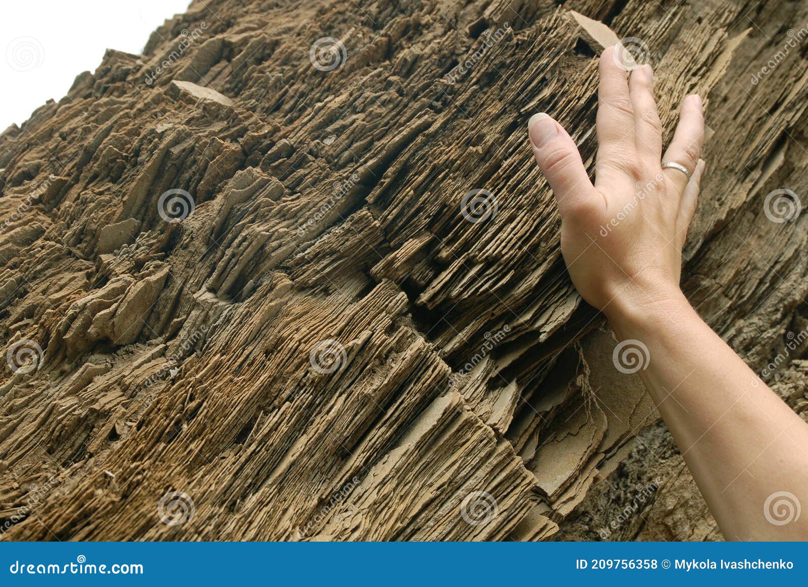 Woman Feeling a Petrified Tree Stock Photo - Image of europe, close ...