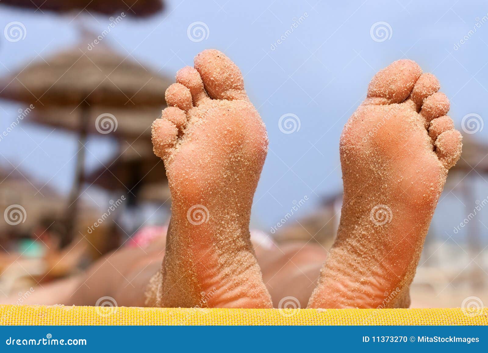 Woman feet on the beach stock photo. Image of summer - 11373270