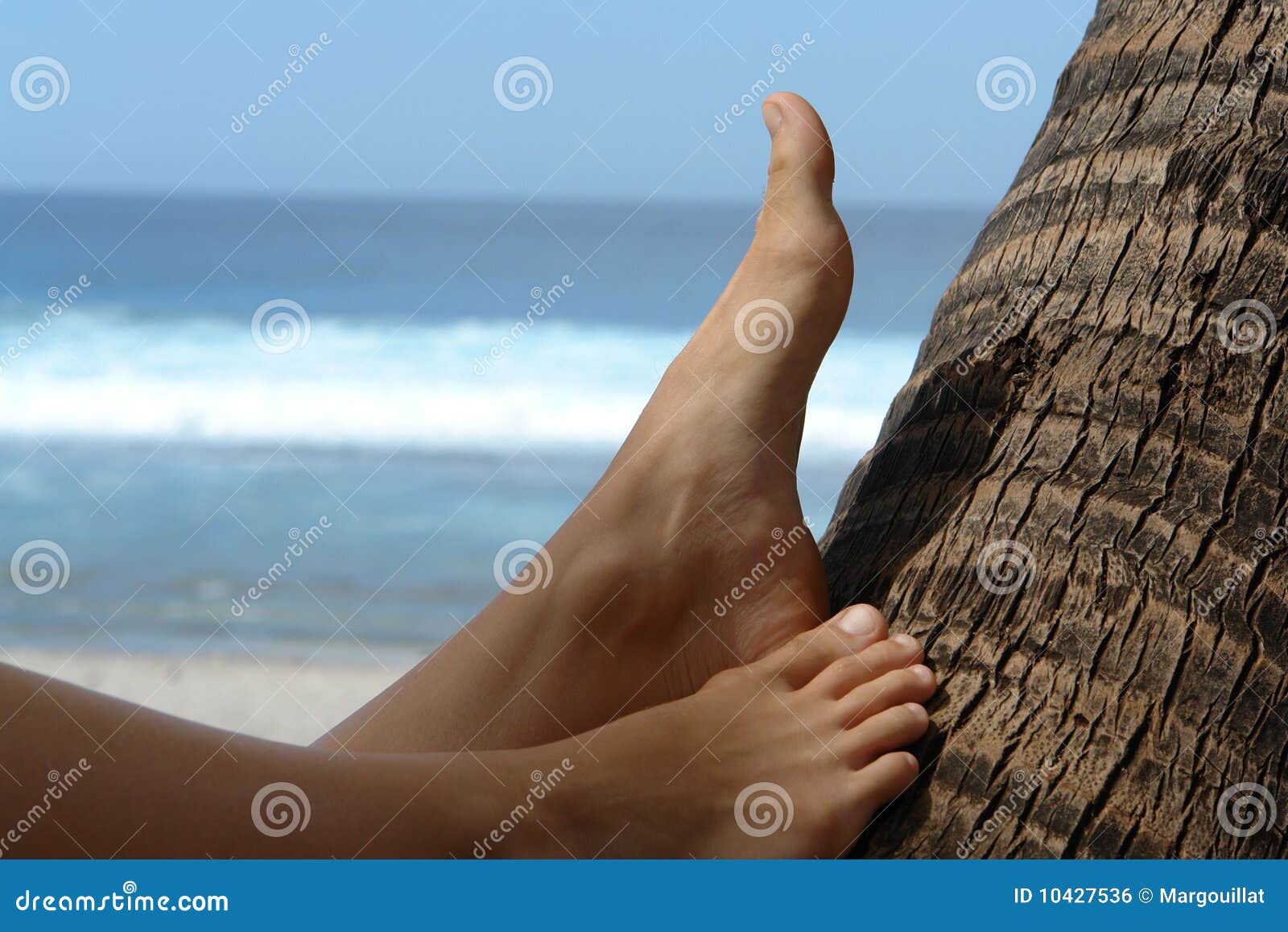 Woman feet on a coconut stock photo. Image of rest, holidays - 10427536