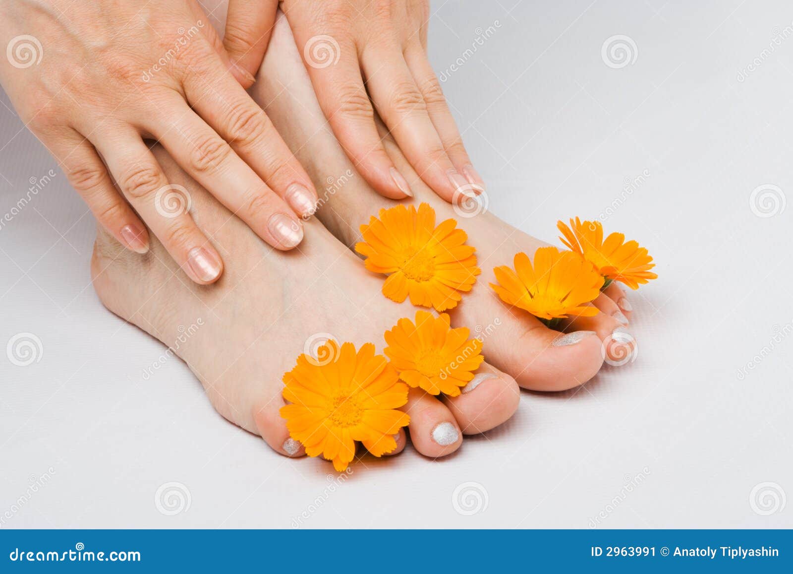 Woman Feet And Flower Picture. Image: 2963991