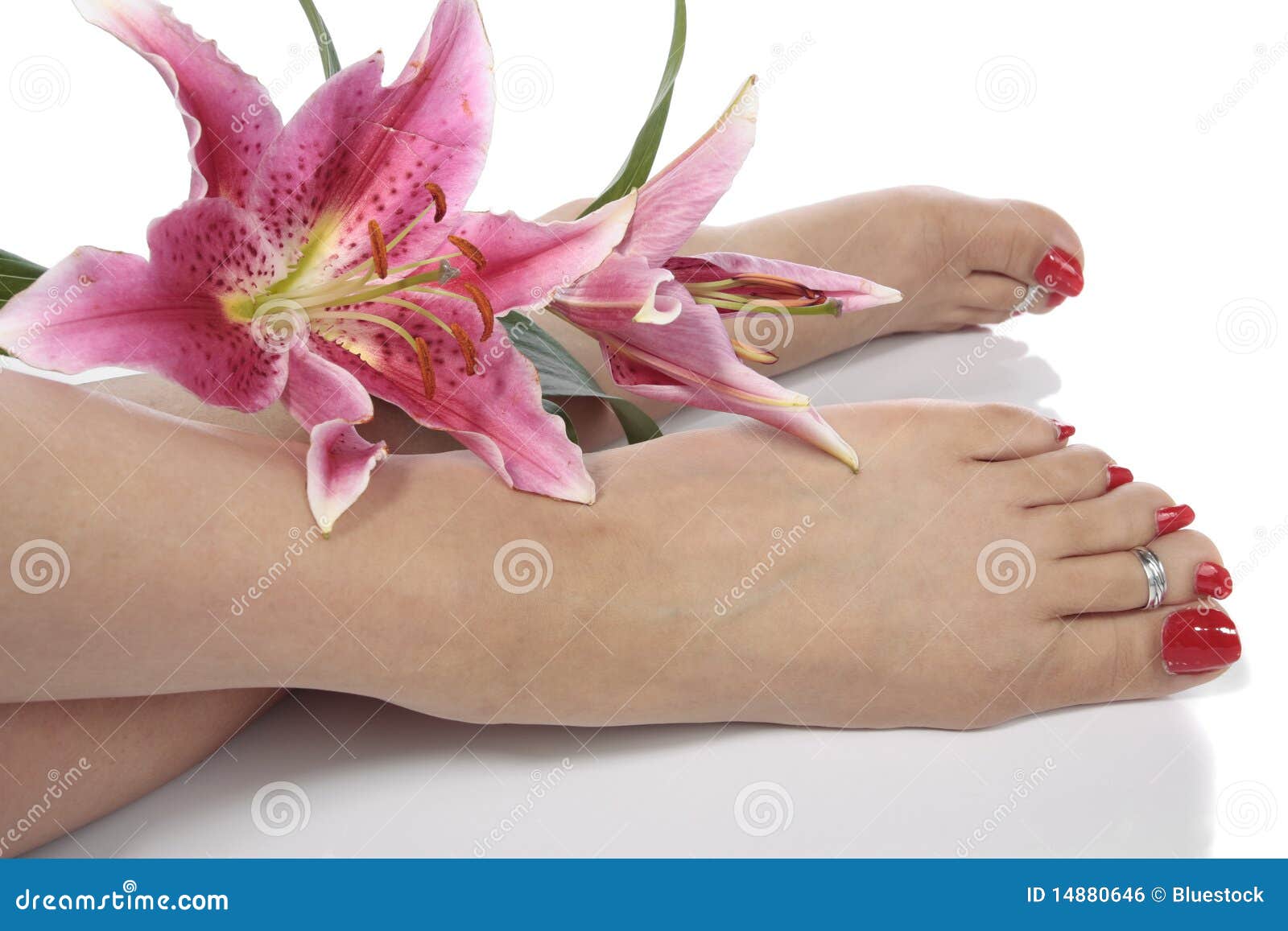 Woman Feet and Flowers Over White Stock Photo - Image of legs ...