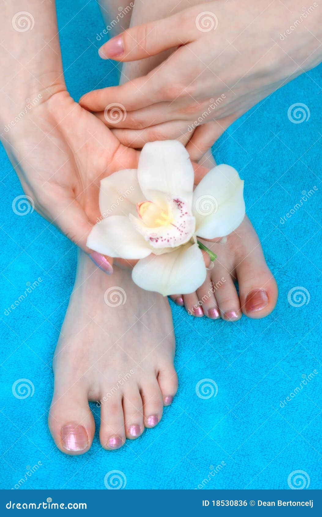 Woman feet and hands stock photo. Image of relaxing, refreshing - 18530836