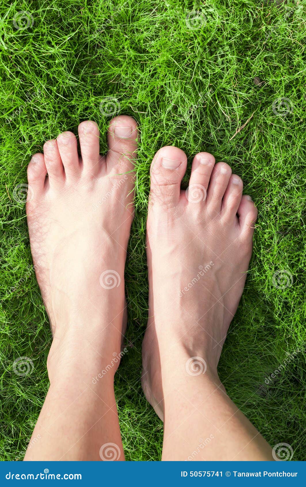 Woman Feet Over Green Grass. Stock Image - Image of health, hygiene ...