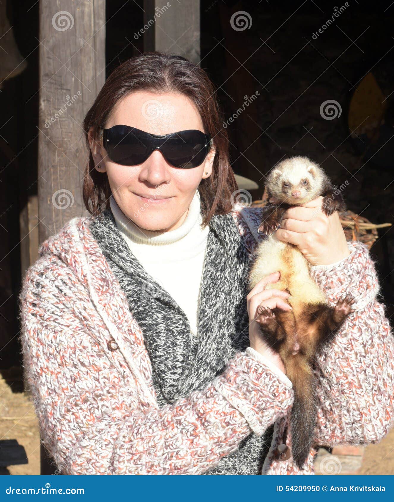 Woman with a ferret stock photo. Image of brown, animal - 54209950