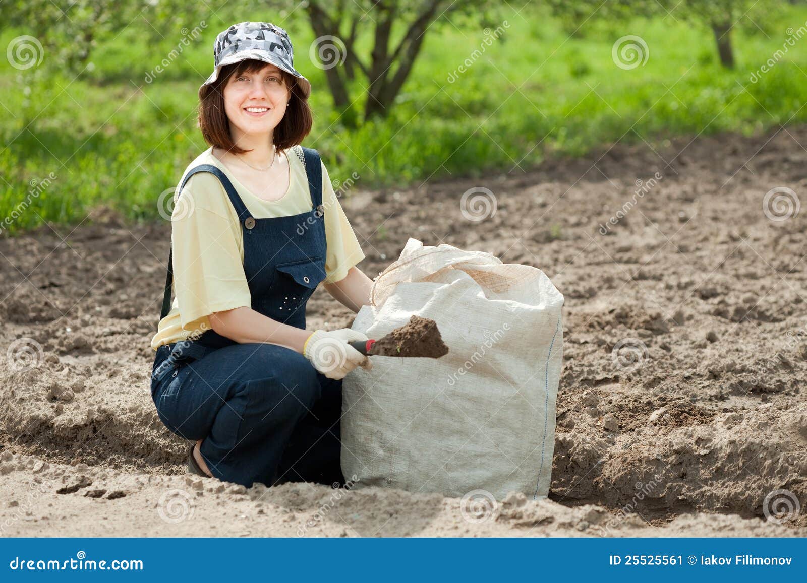 Woman fertilizes soil stock image. Image of drawk, farmer - 25525561