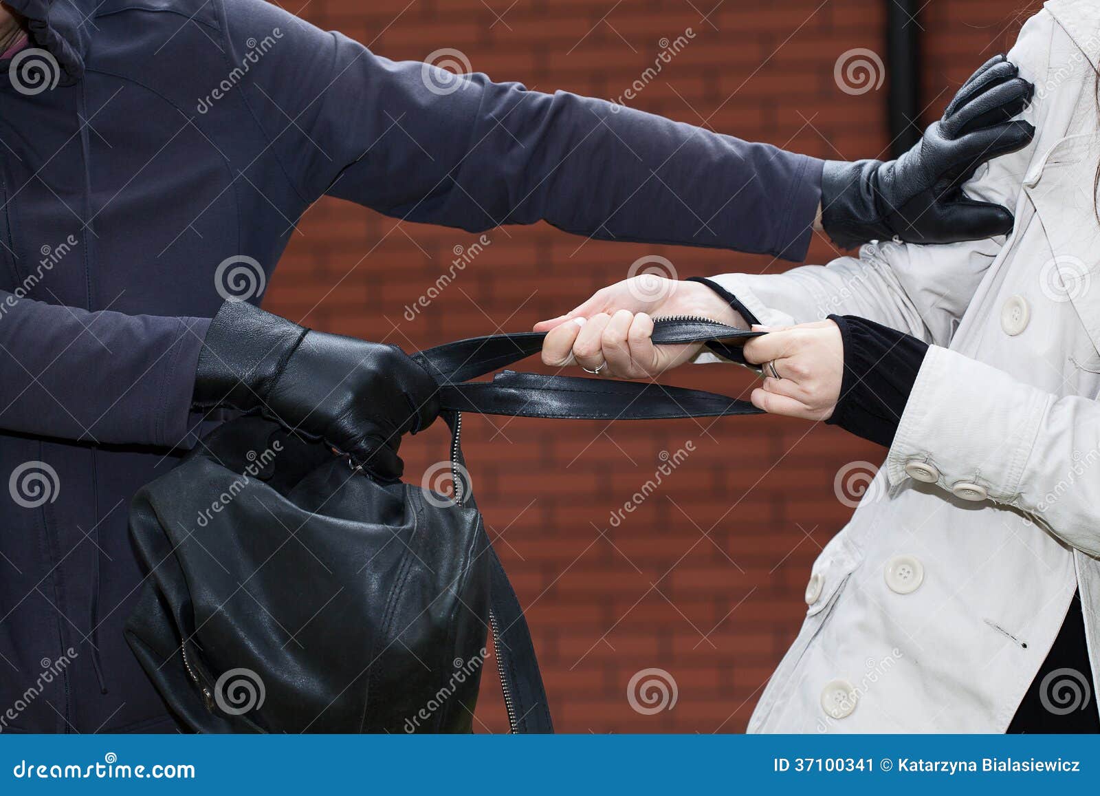 Woman Fighting with a Robber Stock Image - Image of street, fight: 37100341