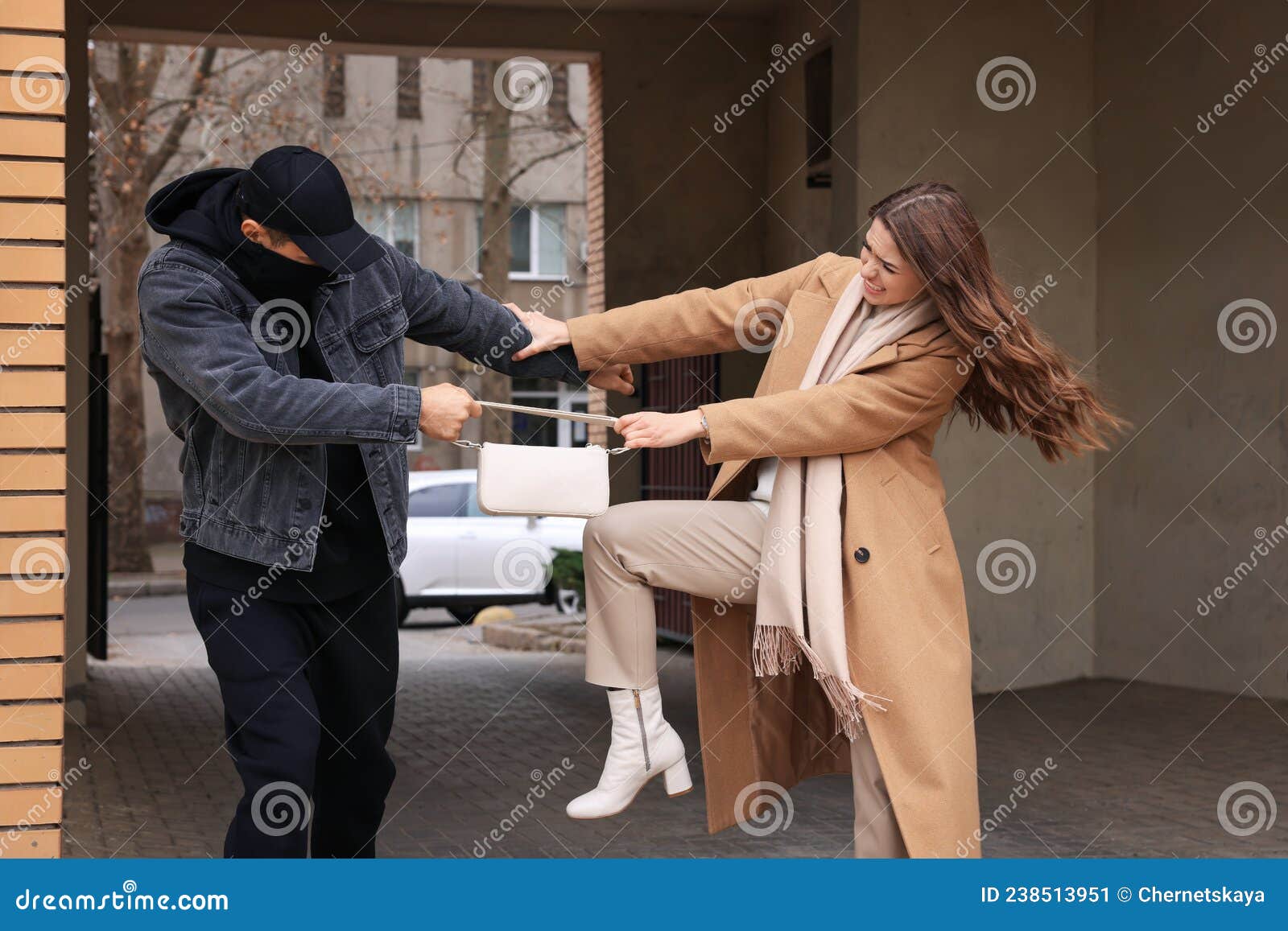 Woman Fighting With Thief While He Trying To Steal Her Bag In Alley