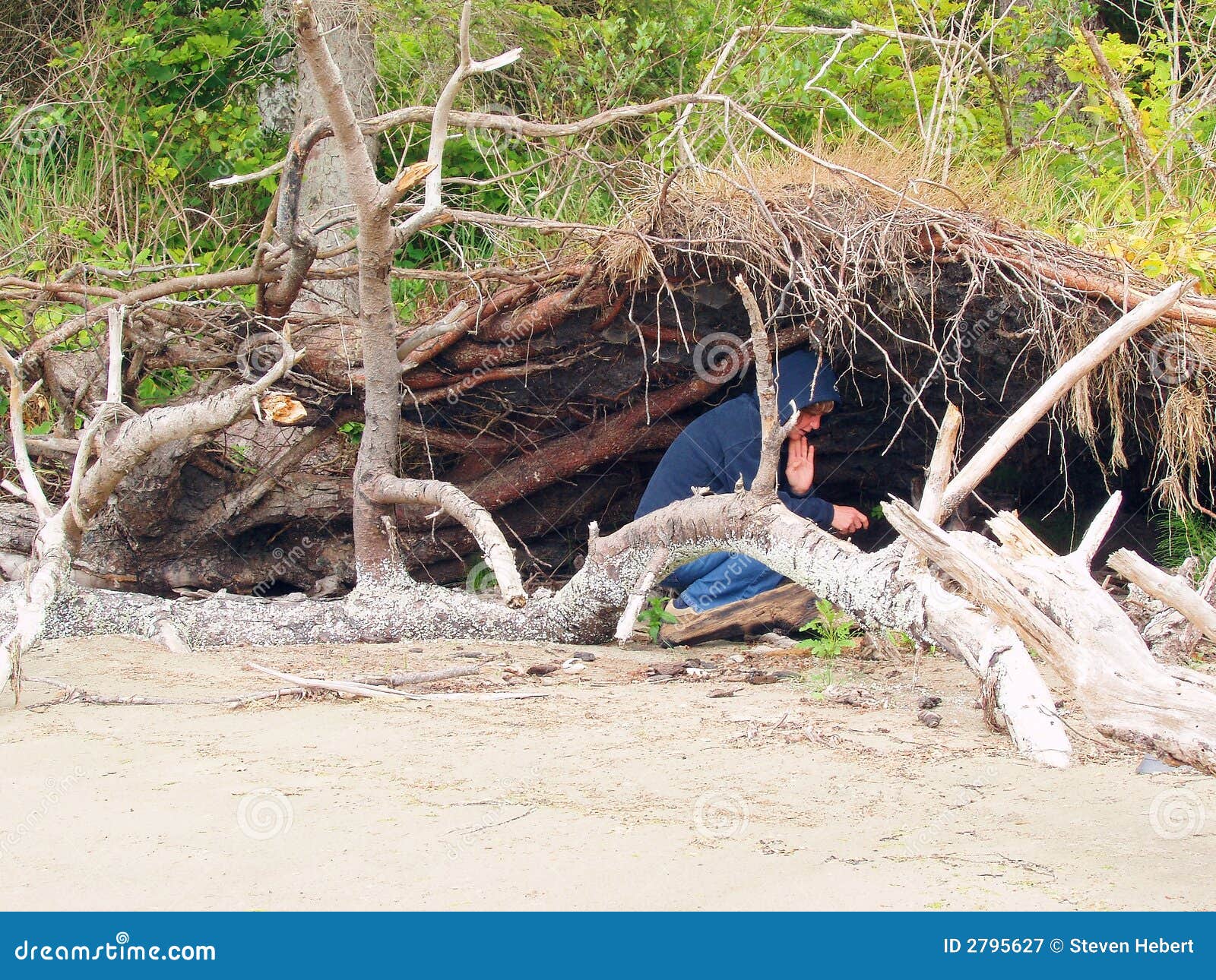 Woman Finds Natural Shelter Stock Image - Image of plants, lady: 2795627