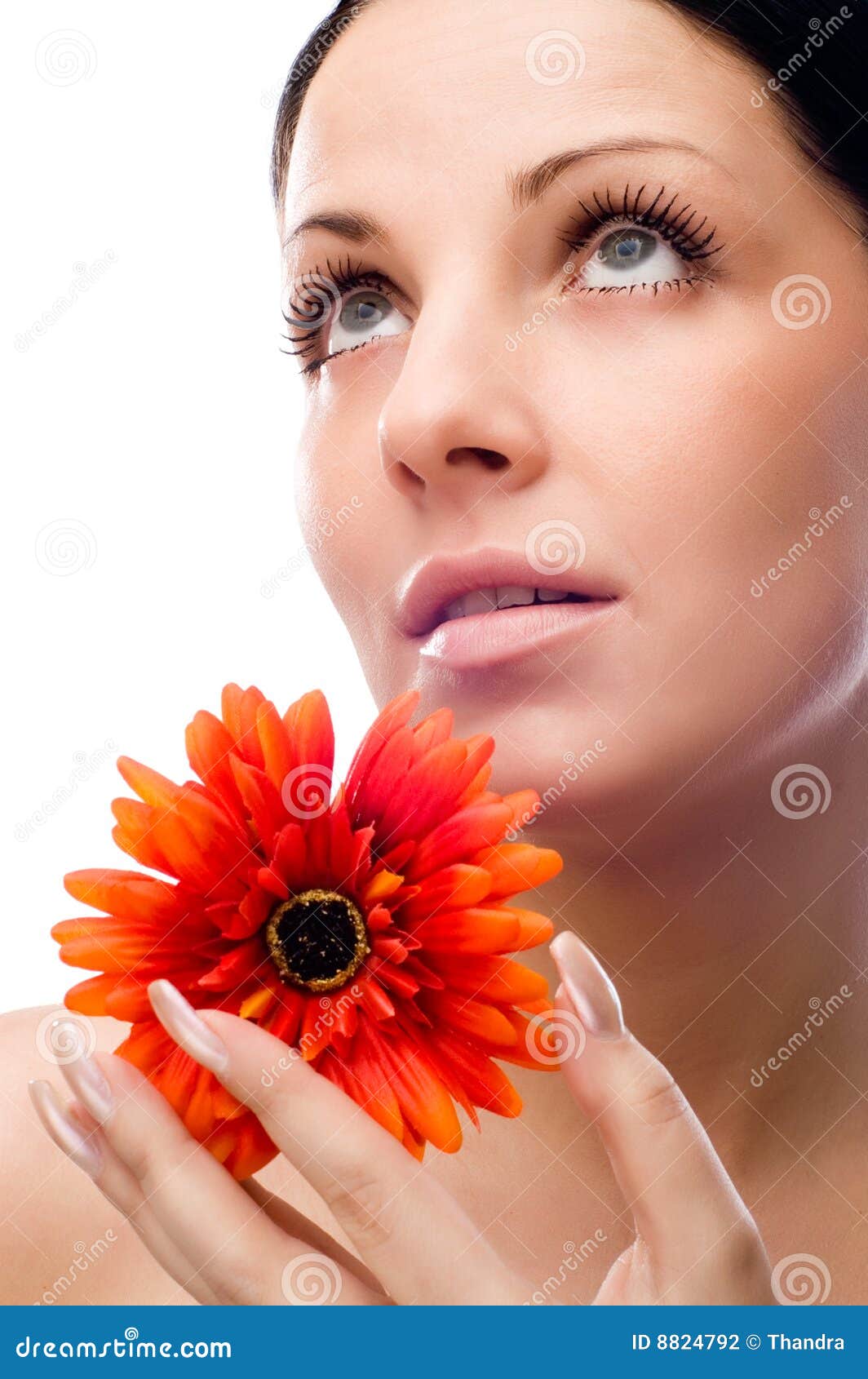 Woman with flower stock photo. Image of beautiful, elegance - 8824792