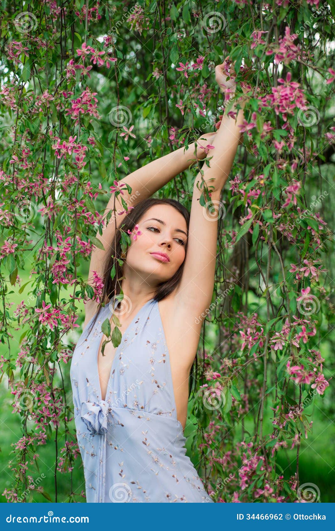 Woman in the Flowering Branches of a Tree Stock Photo - Image of ...