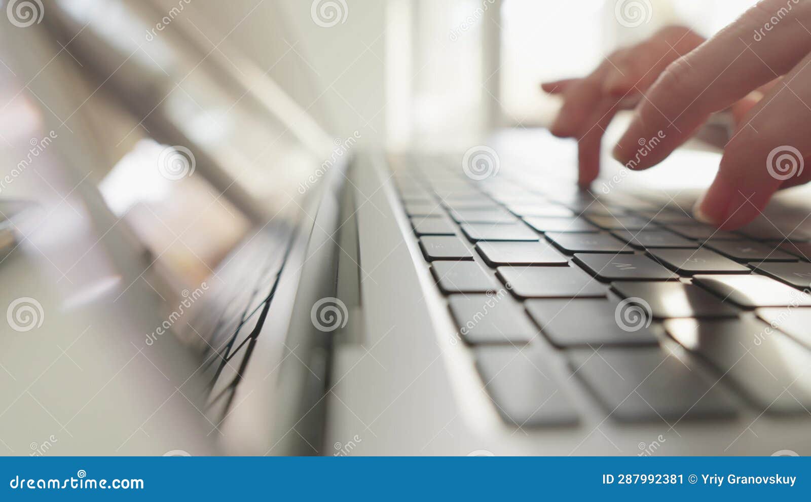 A Woman Focuses Typing on a Laptop, Using the Keyboard To Work ...