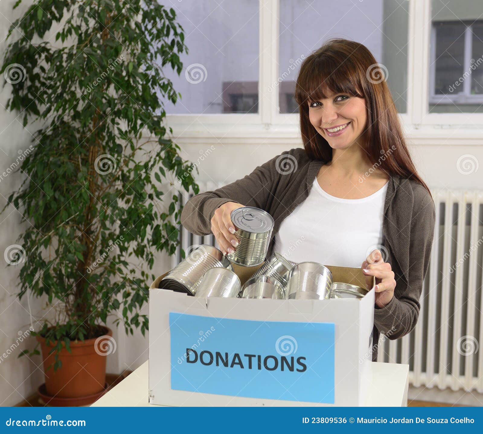 Woman with Food Donation Box Stock Photo - Image of charity, food: 23809536