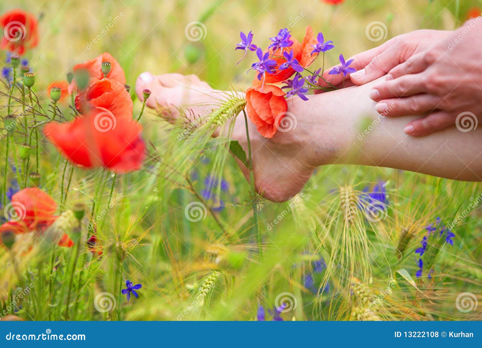 Woman foot stock photo. Image of nature, macro, foot - 13222108