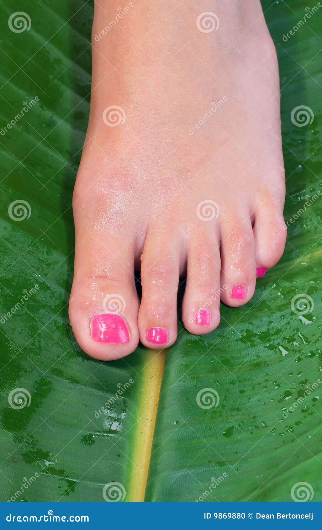 Woman Foot in Beauty Treatment Stock Photo - Image of foot, skin: 9869880