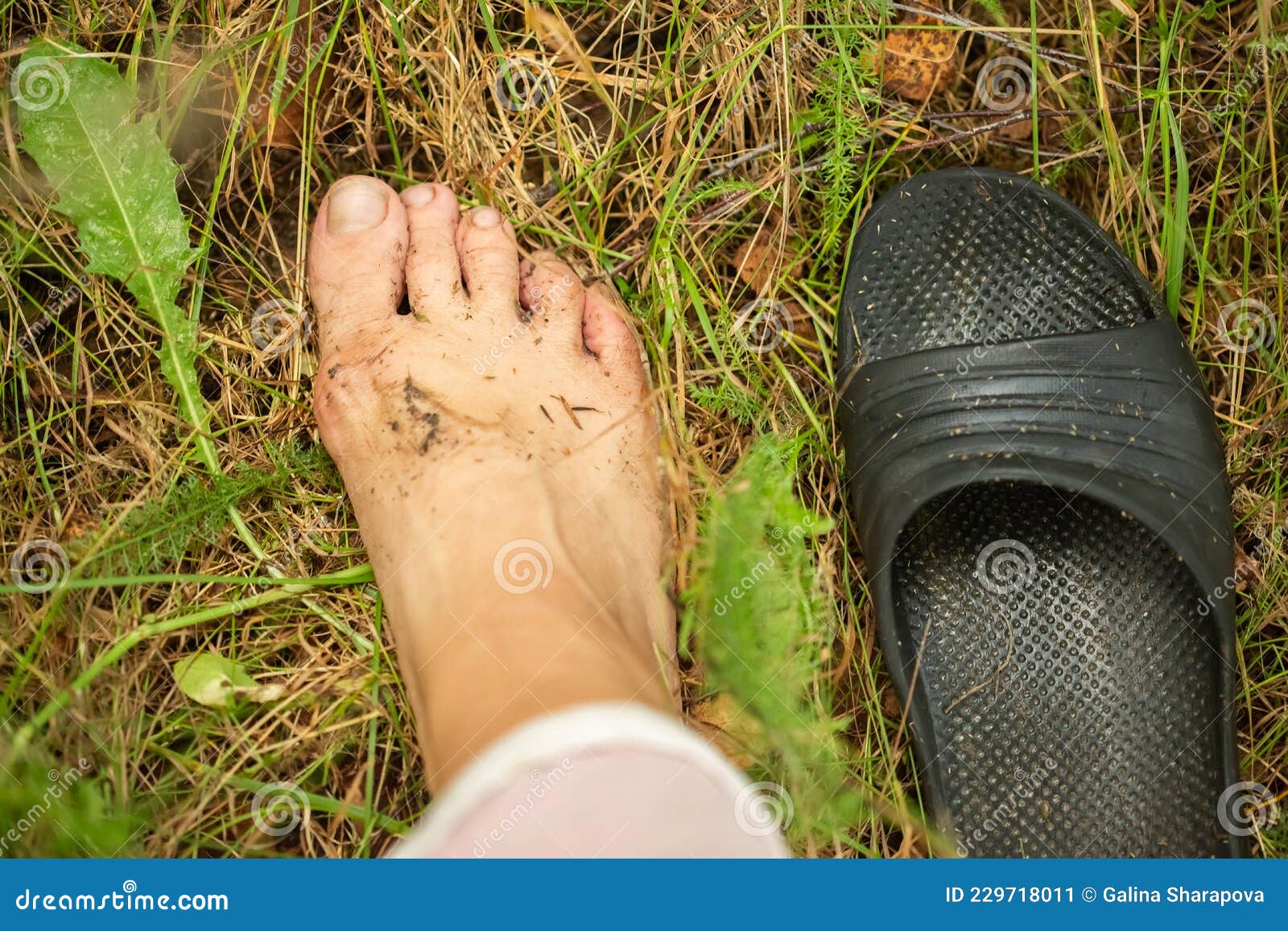 The Foot is Covered with Mud on the Grass Stock Image - Image of muddy ...