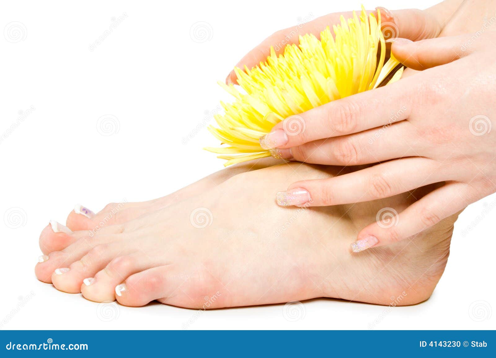 Woman Foot and Hand with Flowers on White Stock Photo - Image of people ...