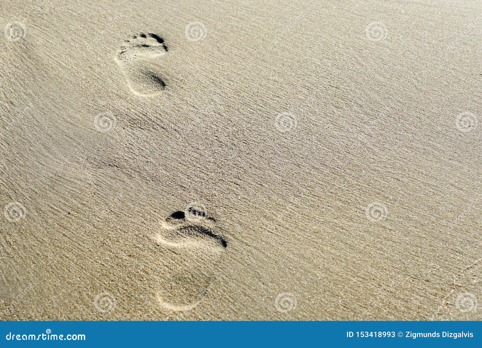 Woman Footprints in Sand on the Seashore Stock Image - Image of steps ...