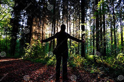 Woman in a forest. stock photo. Image of people, branch - 21730430