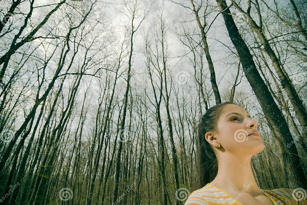 Woman in forest stock photo. Image of woods, youthful - 2502194