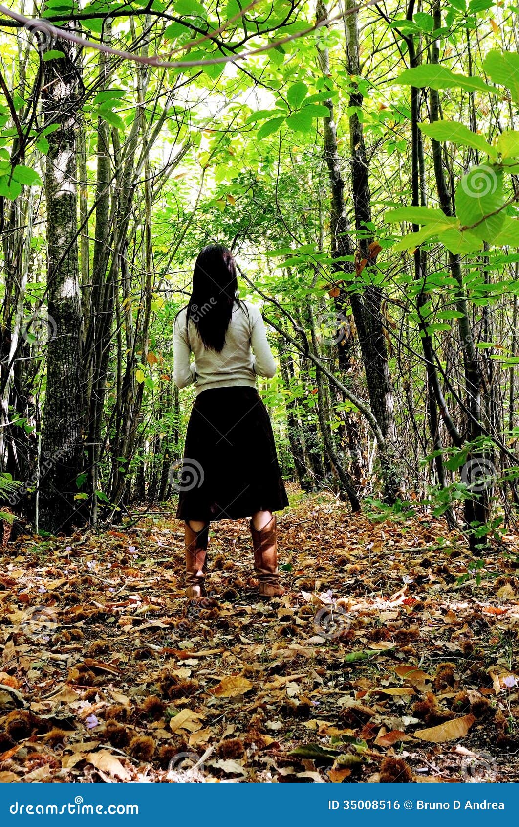 Woman in a forest stock photo. Image of natural, fall - 35008516