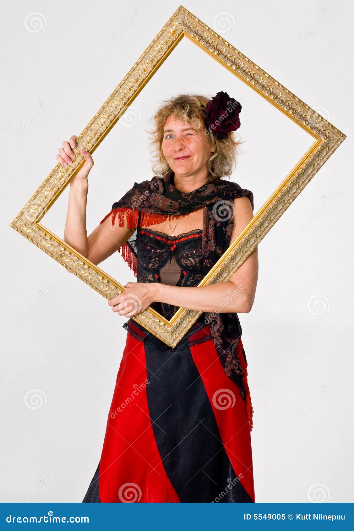 Woman in the Frame stock image. Image of rose, expression - 5549005