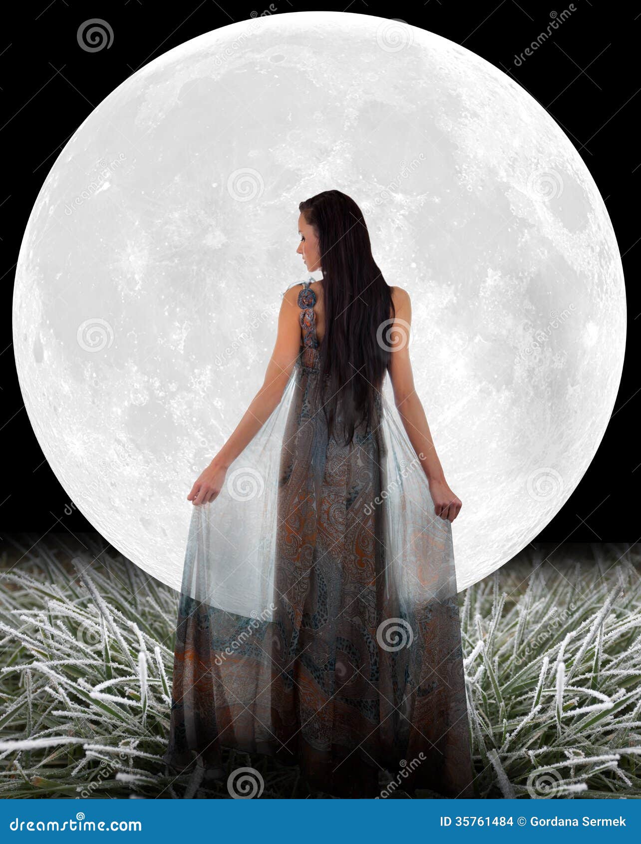 Woman In The Moon Art