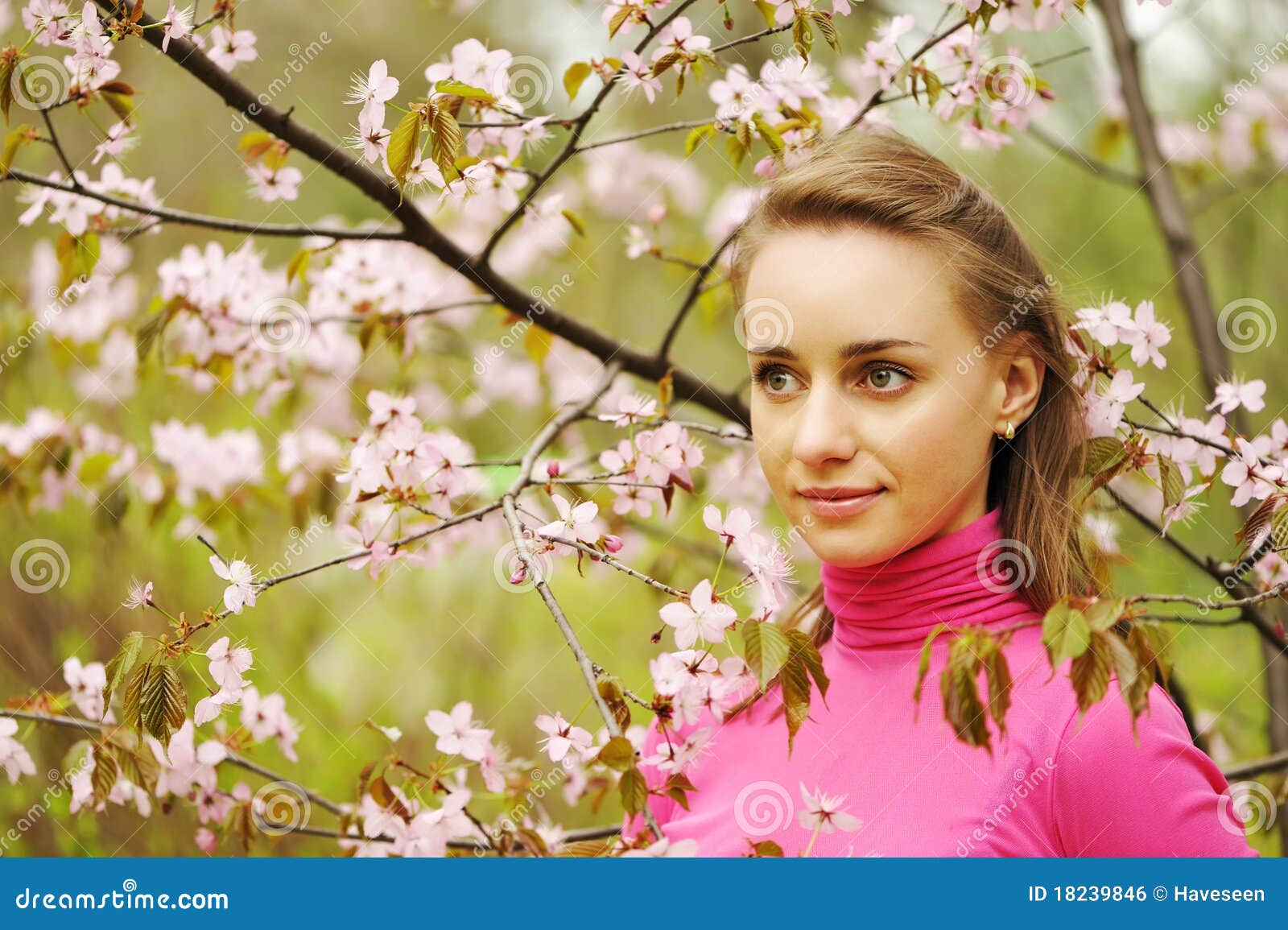 Woman in Front of Sakura Blossoms Stock Photo - Image of cherry, beauty ...