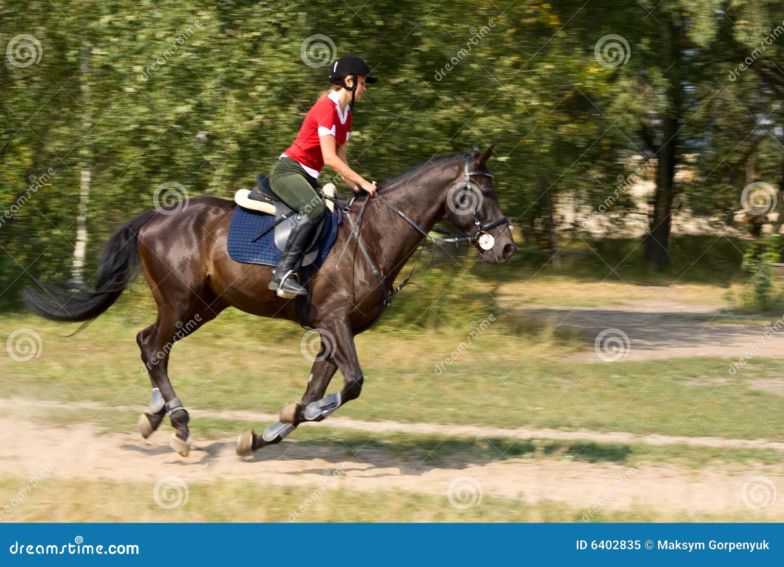Woman on galloping horse stock image. Image of horse, adult - 6402835