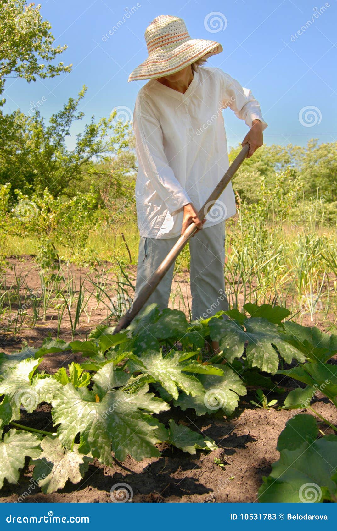 Woman in the garden stock image. Image of mattock, farm - 10531783