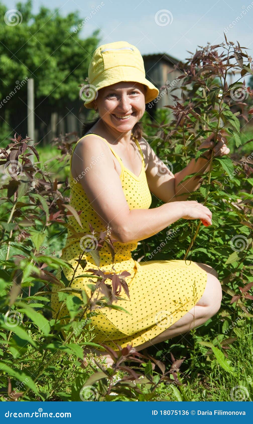 Woman in the Garden stock photo. Image of plant, spring - 18075136
