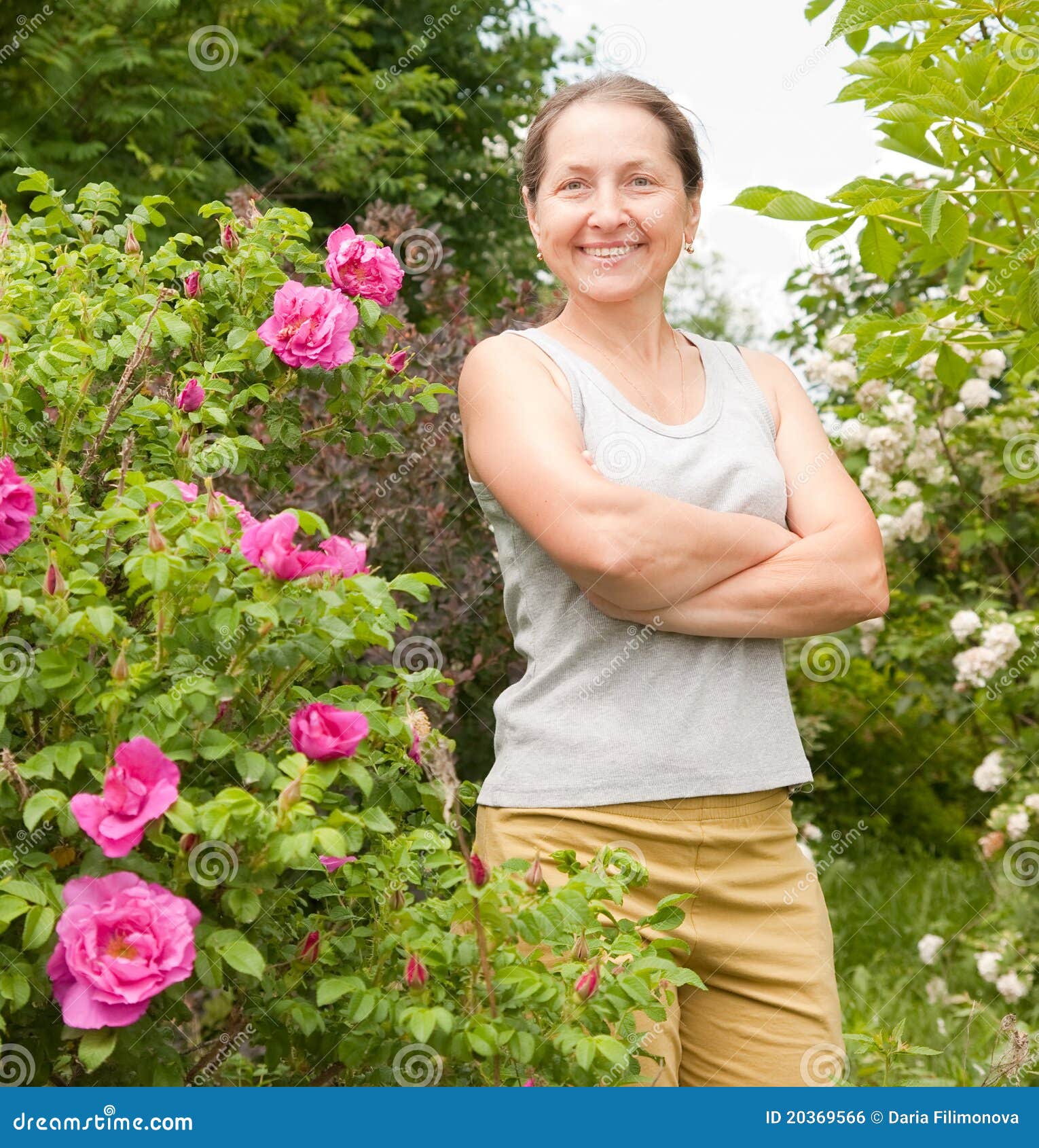 Woman in garden stock photo. Image of dogrose, blossoming - 20369566