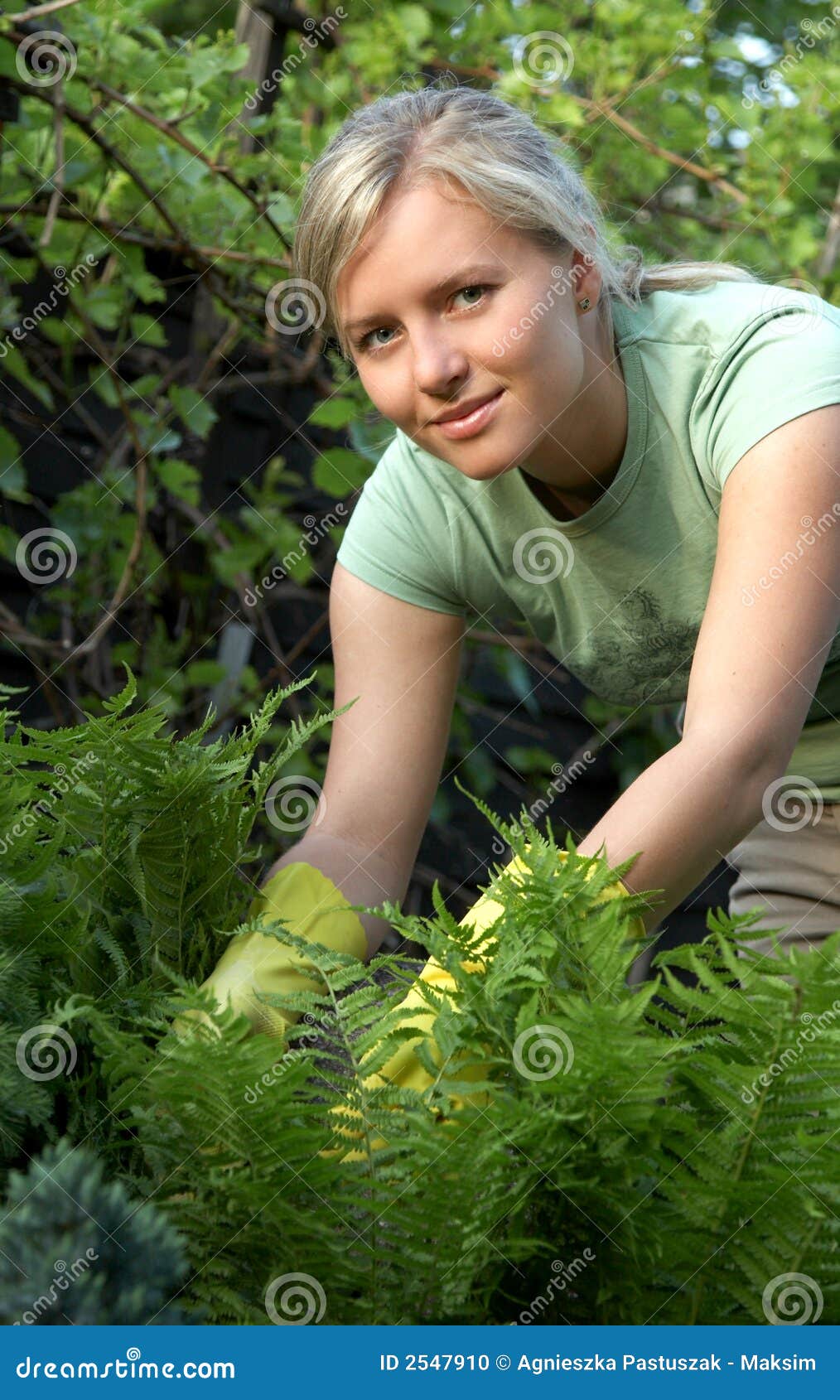 Woman in garden stock photo. Image of bushes, remove, looking - 2547910