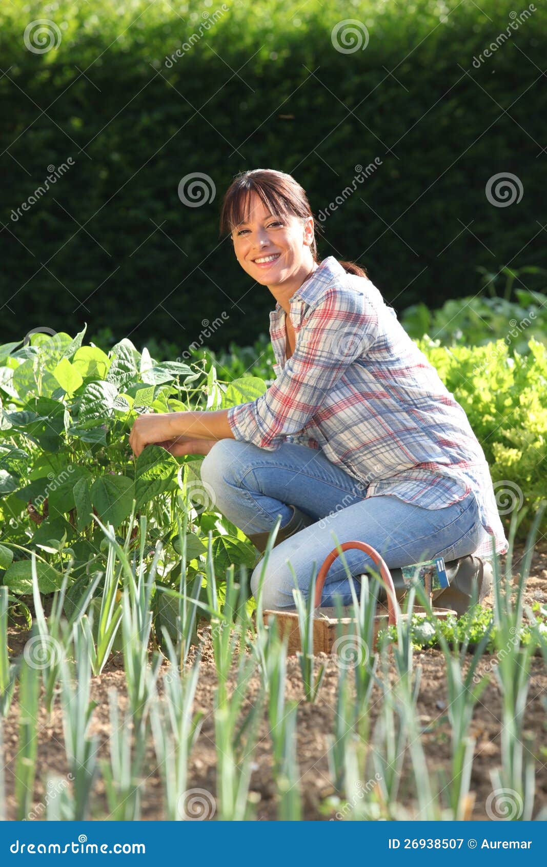 Woman in garden stock image. Image of harvesting, orchard - 26938507