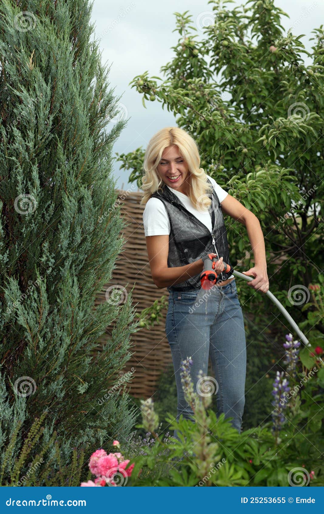The woman gardener stock image. Image of gardening, summer - 25253655