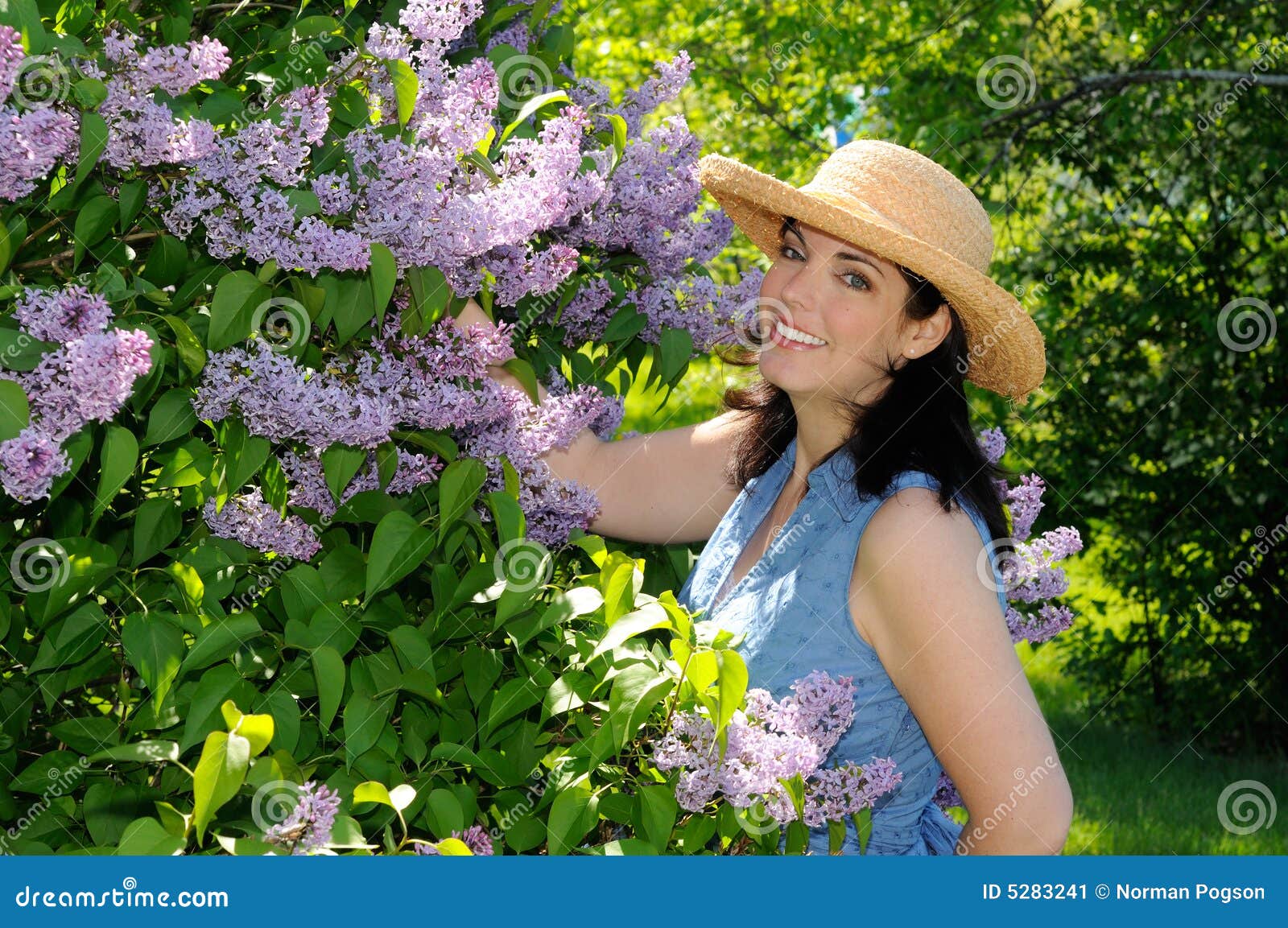 Woman Gardener stock image. Image of outdoor, garden, sunshine - 5283241