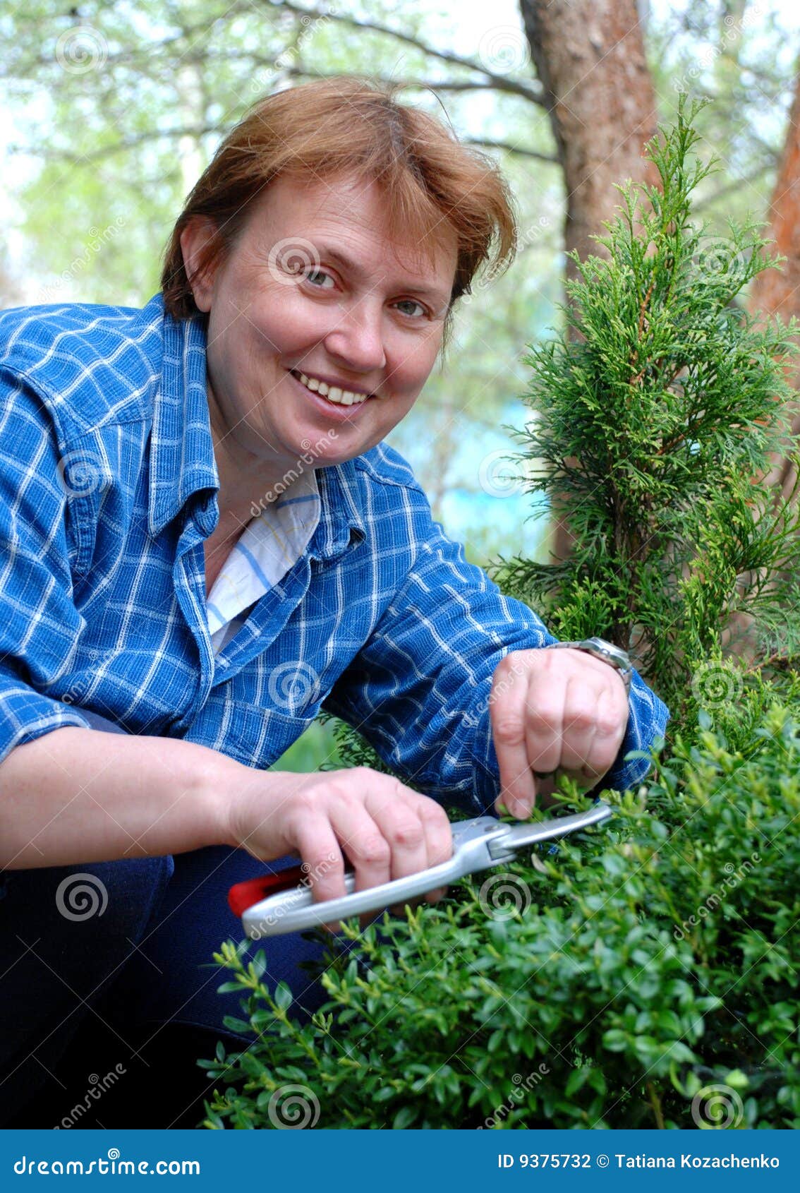 Woman gardener stock photo. Image of leaf, pruning, botany - 9375732