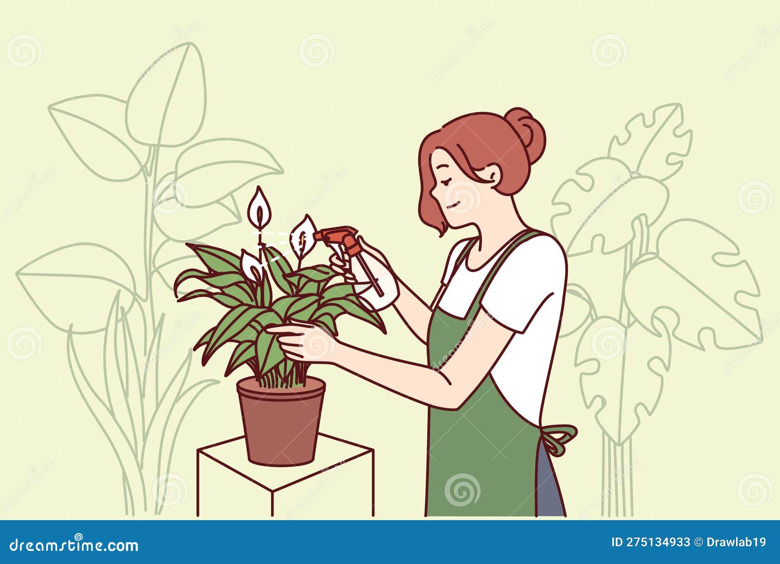 Woman Gardener From Greenhouse Takes Care Of House Plants By Spraying