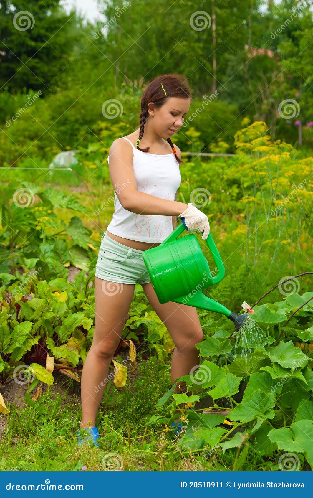 Woman gardener watering stock image. Image of domestic - 20510911